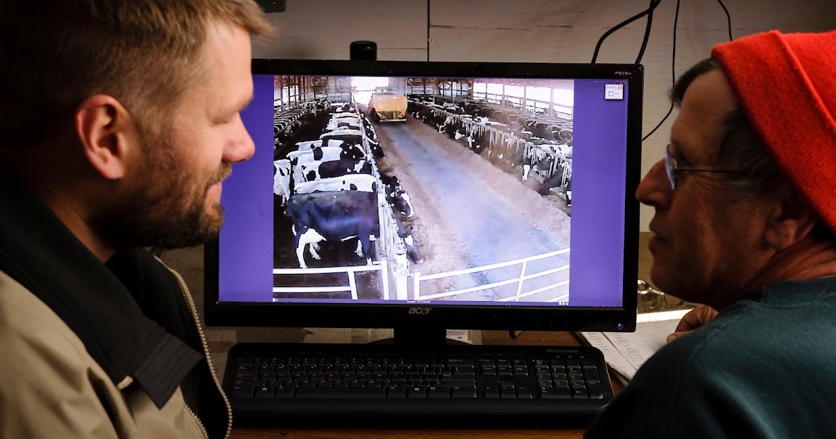 Use of computer in Animal Husbandry