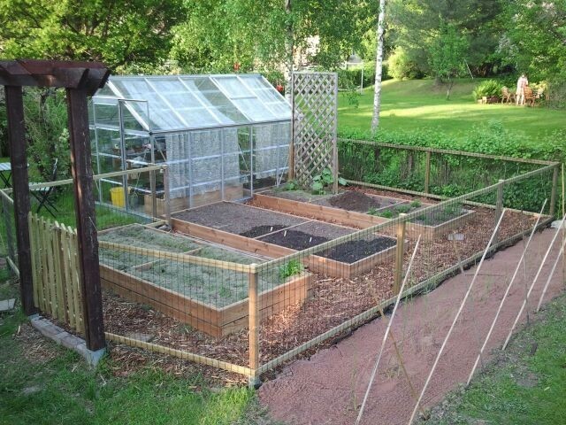 Kasvikertomuksia - puutarhaleidit puuhissaan: Korjaustöitä kasvimaalla