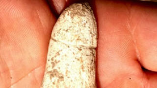 Falo da Idade da Pedra encontrado em Israel