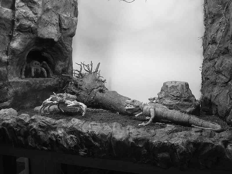 Blacknick Sculpture: Kong Spider Pit Finished