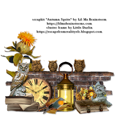 Escape From Reality Blog: FTU 'Autumn Sprite' Cluster Frames LMB