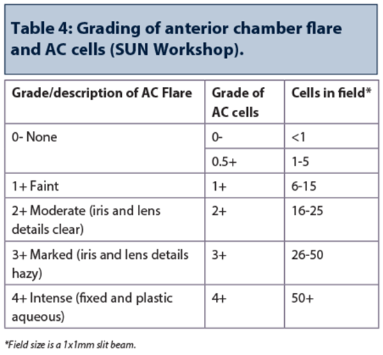 Anterior Chamber Cells And Flare Grading at Jessica Ogden blog