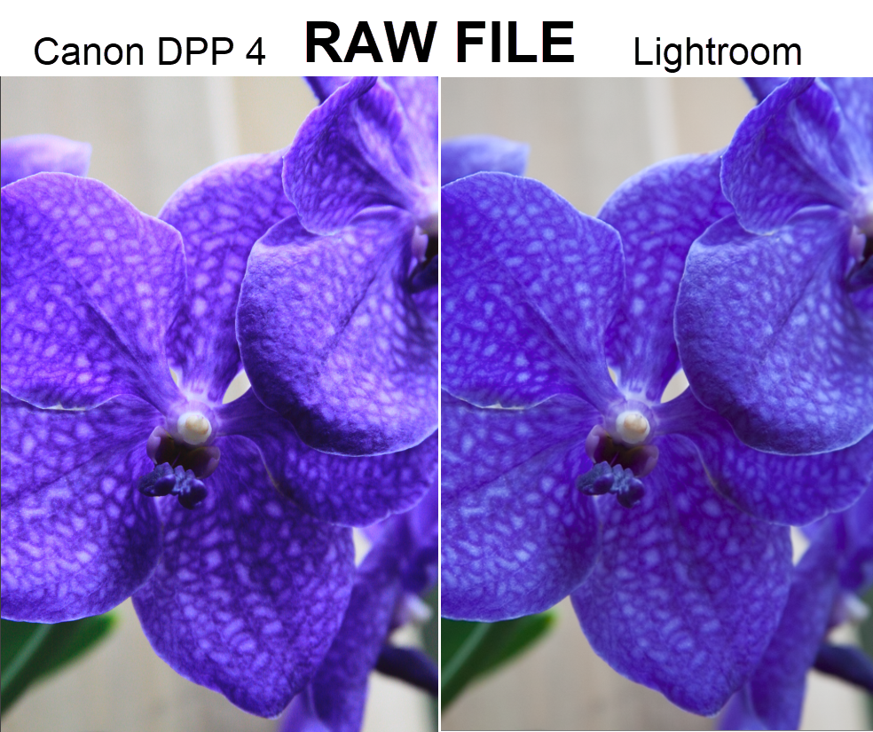 Canon Digital Photo Professional (DPP) 4 Video Tutorial Series