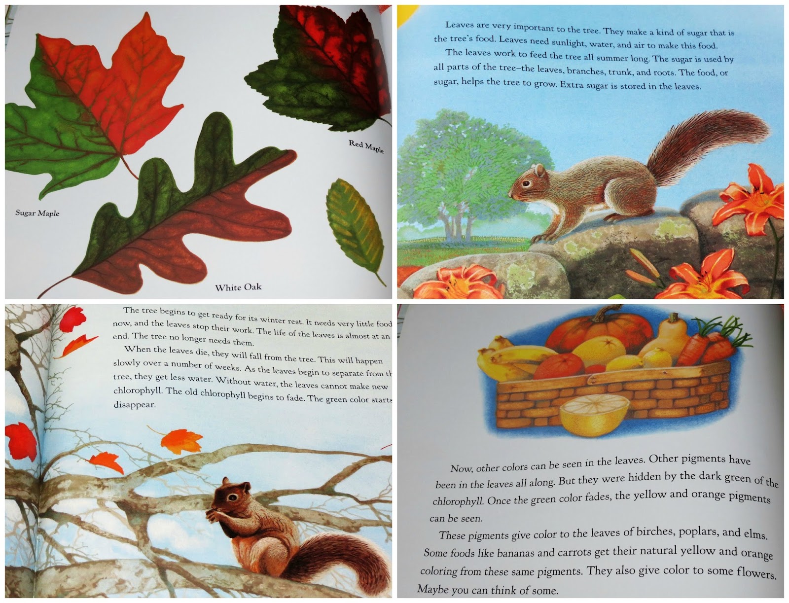 Activitati educative de la suflet la suflet: Toamna e plina de frunze ...