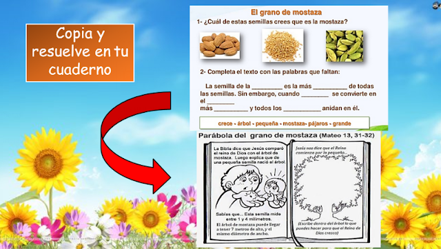 SEGUNDO GRADO EN AIP: ¿CÓMO NOS AYUDA CONOCER LA PARÁBOLA DE LA SEMILLA ...