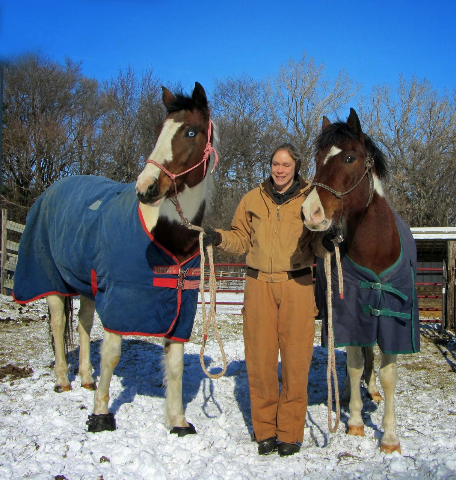DoubleHP at New Hope Horse Shelter: Thanks Dover Saddlery for donated ...