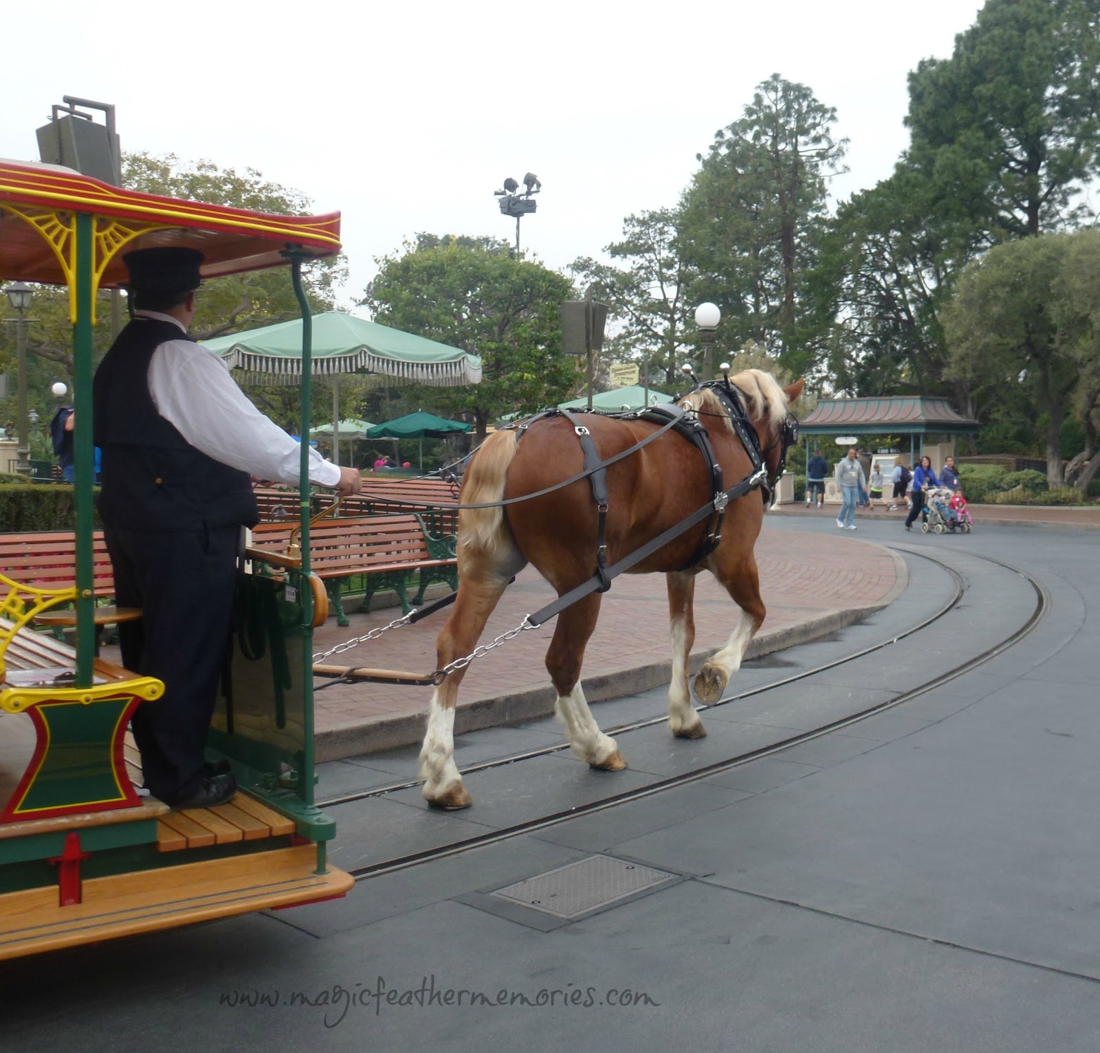 Disneyland ~ Main Street Vehicles