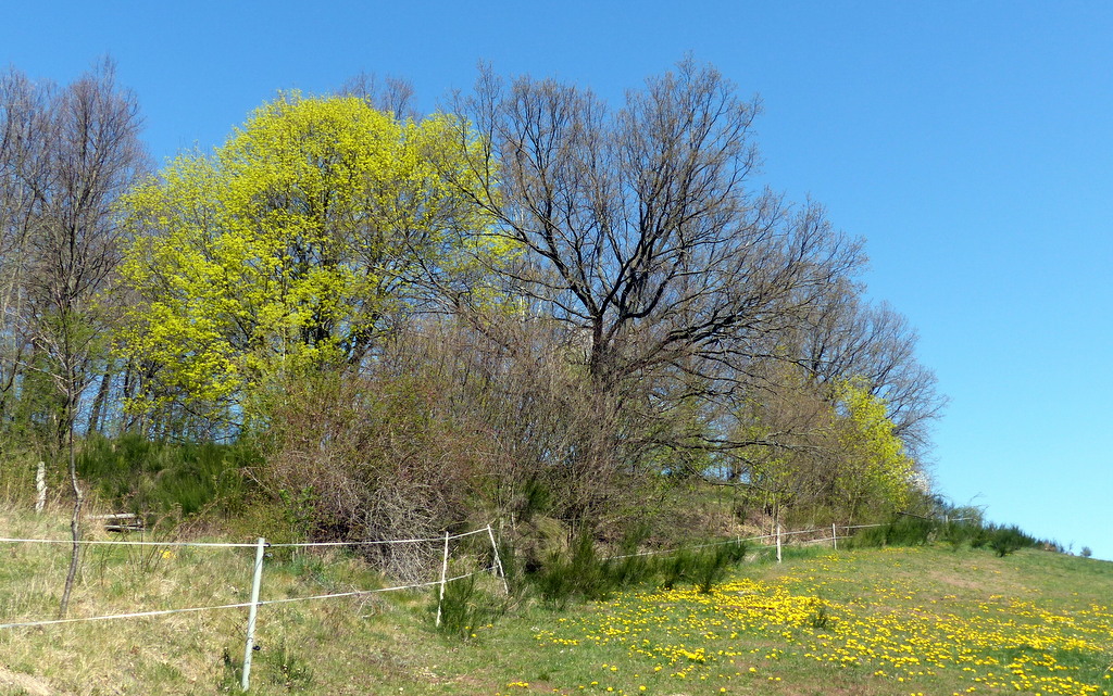 Naturwunder ...: Wanderung um Neusalza-Spremberg