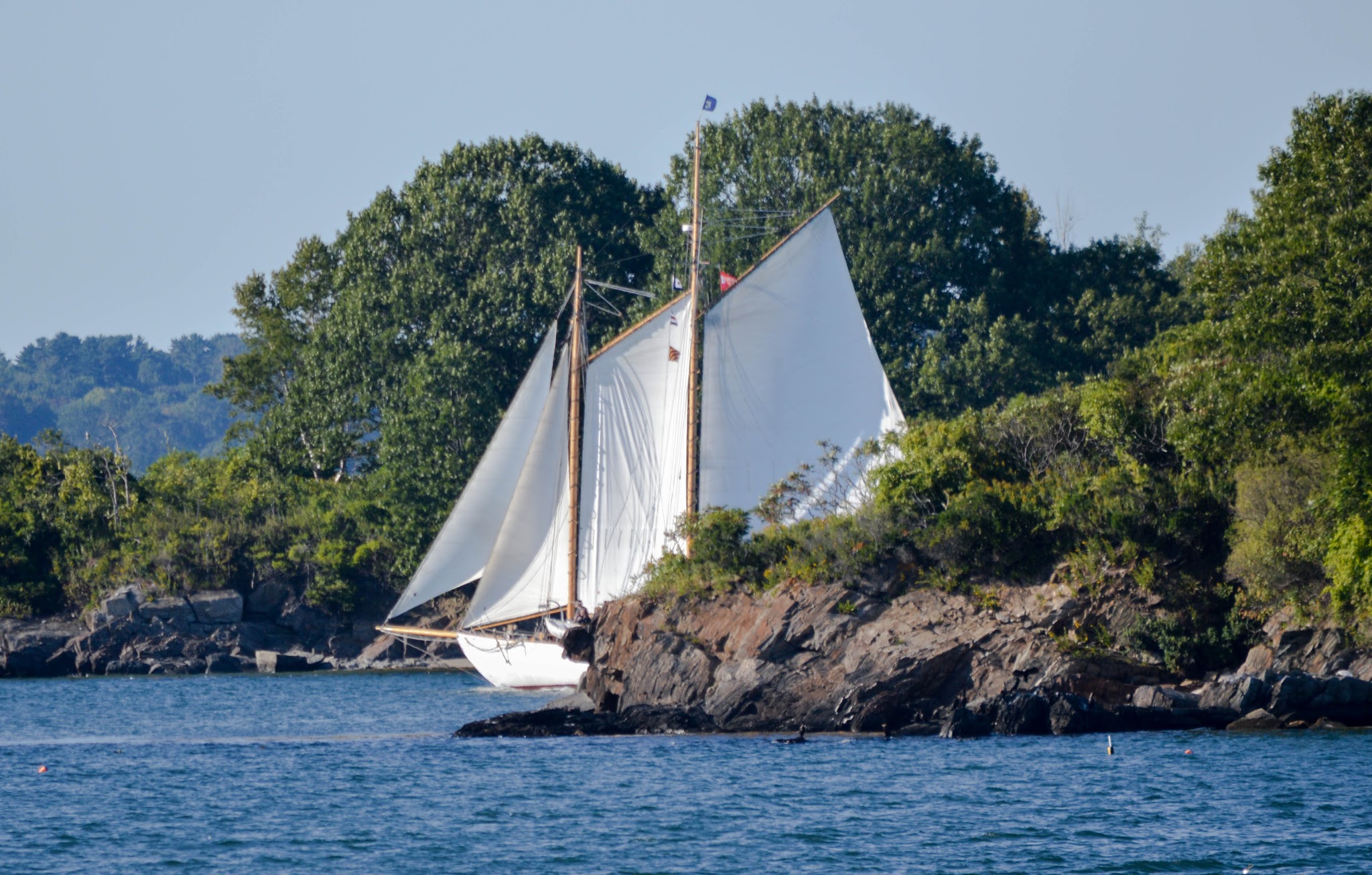 Diana s Little Corner In The Nutmeg State Saturday 9 The Love Boat diana-s-little-corner-in-the-nutmeg-state-saturday-9-the-love-boat