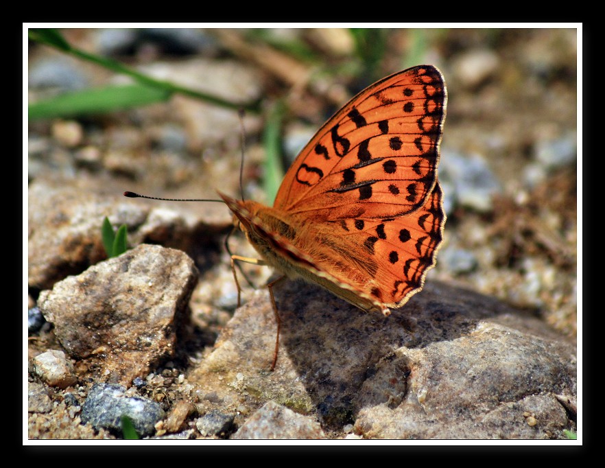 Calatoriile mele prin imagini: Valea Pocruii si plaiurile Sohodolului