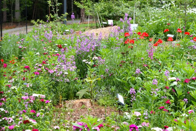 Your Southern Peach: Meet me in the Garden: Master Gardener Tour