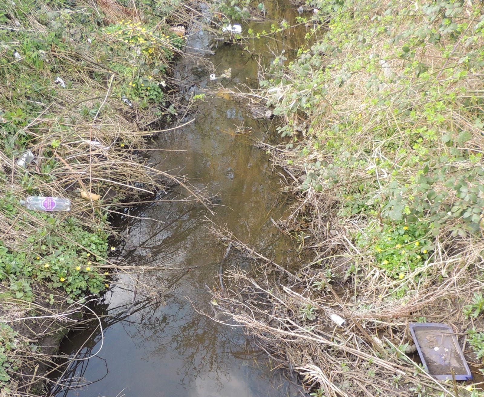 About a Brook: Burrows: Now With Voles