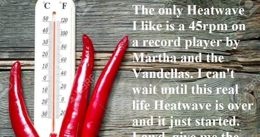 The Lady(Bug) of the Household: It's Too Hot! 💯 #WeatherRant 😓