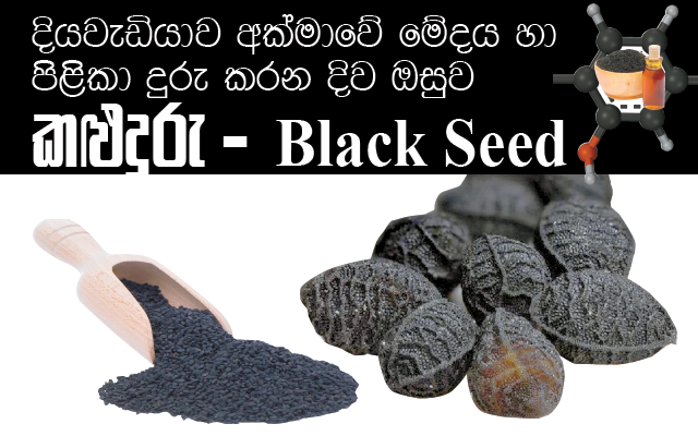 විවිධ රෝගාබාධ සුව කරන කළුදුරු | Mini Gossip | Gossip Lanka News | Hot ...