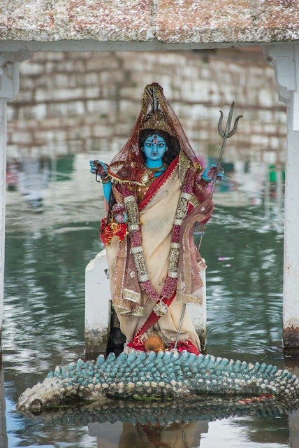 Narmada Maiya(Devi) Amarkantak, Madhya Pradesh