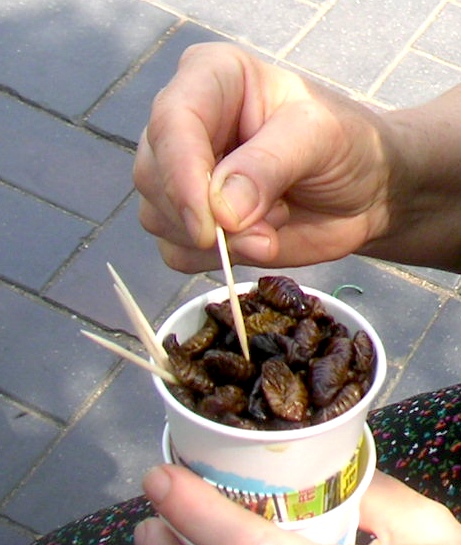 [Food] Beondegi (번데기, Silkworm Pupa) ~ peacebreeze