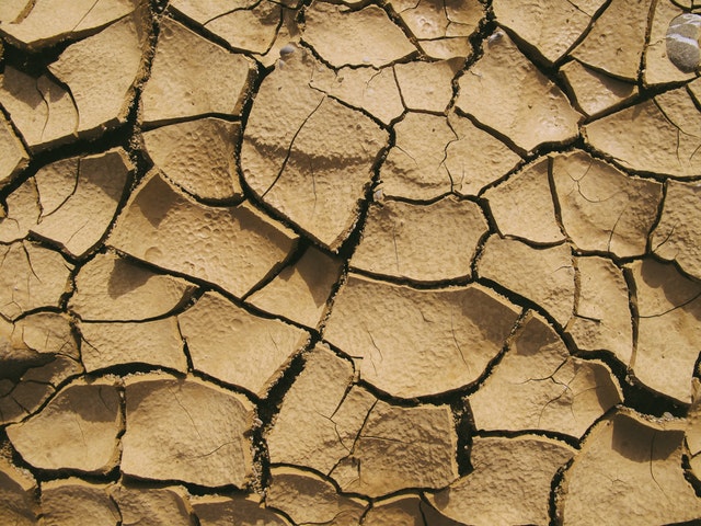 Types Of Soil In India Soils Of India types-of-soil-in-india-soils-of-india