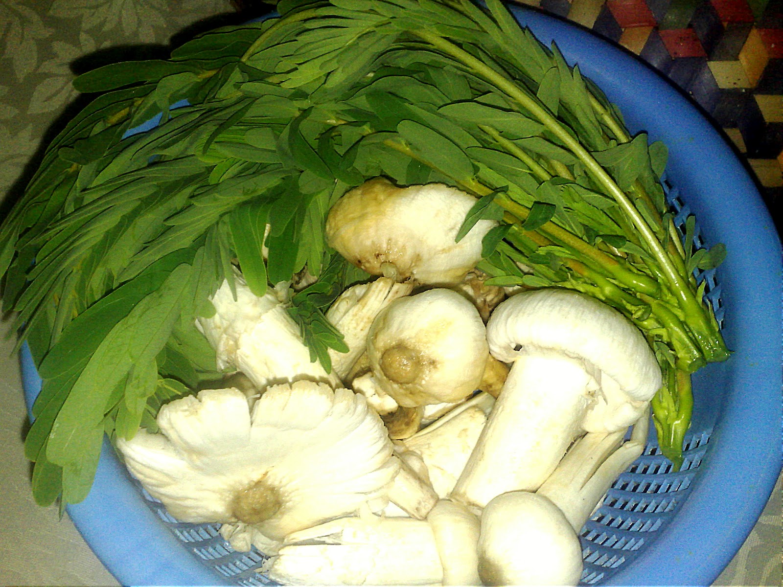 FAMILY JANNATI: SAYUR PEDAS CENDAWAN KAMPUNG BERSAMA PUCUK GETI