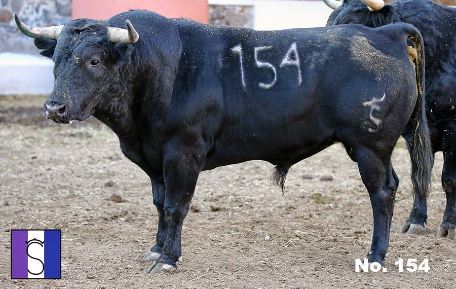 Lascosasdeltoro: Toros de Campo Hermoso, y Marrón para EL PANA en ...