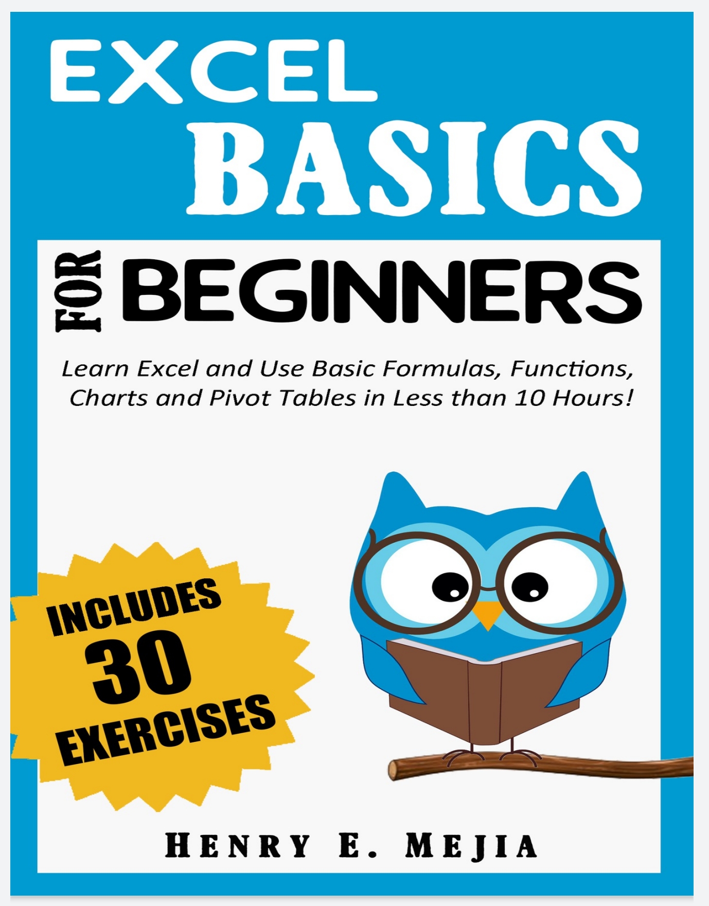 EXCEL BASICS FOR BEGINNERS FREE EBOOK PDF : Learn Excel and Use Basic ...