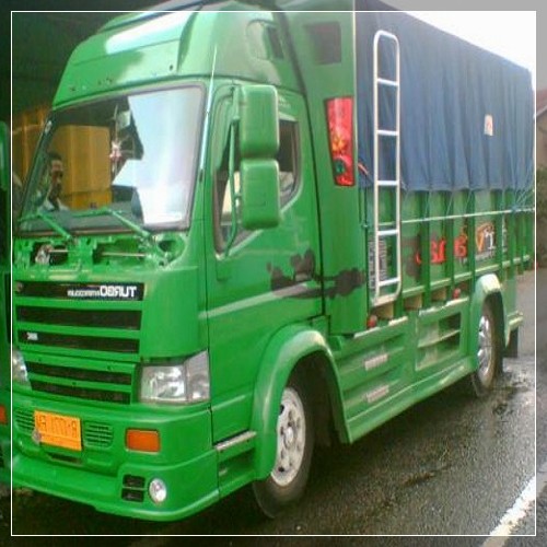 30 gambar modifikasi truk canter dengan full variasi ceper bemper bak ...