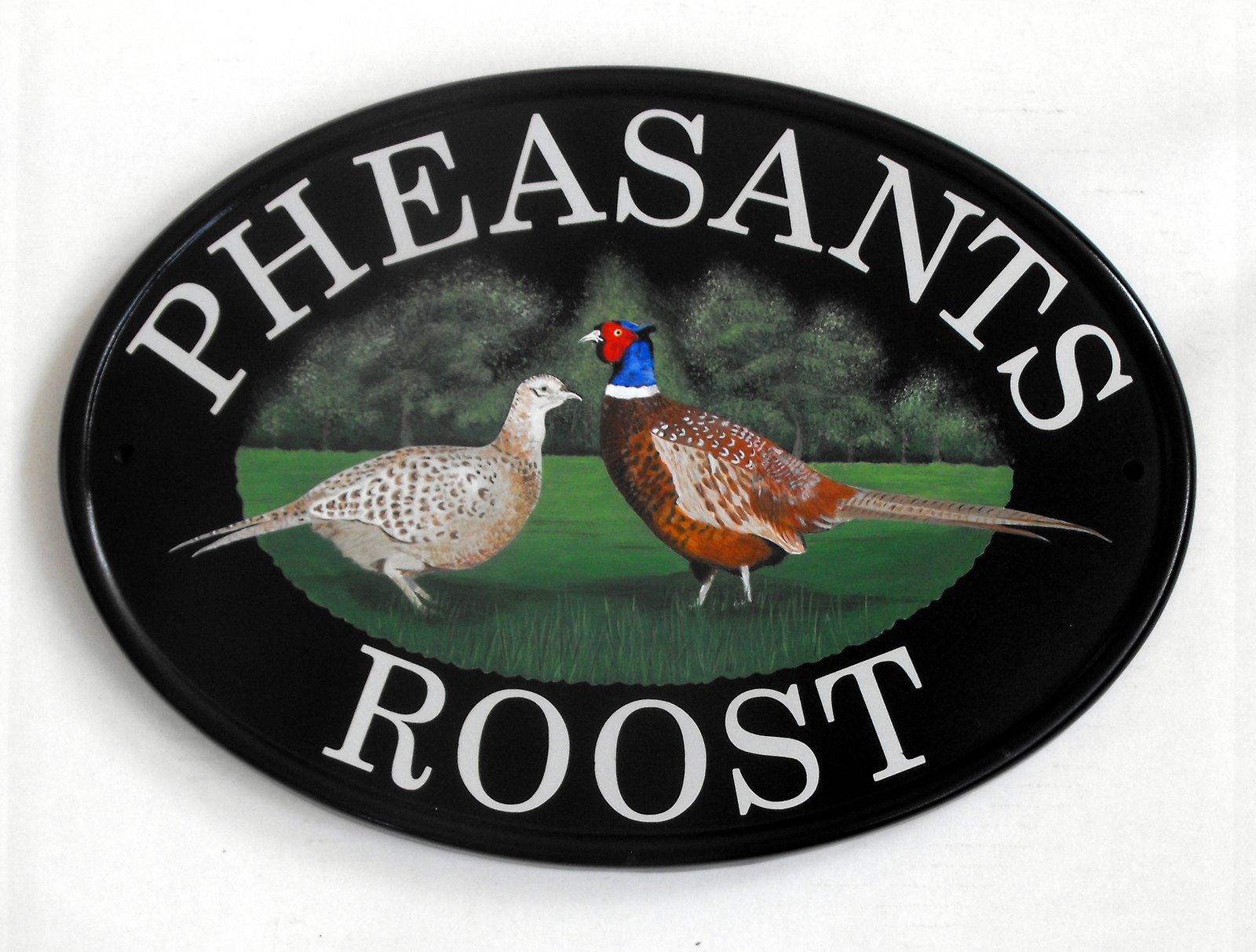 Pictorial House Signs from Yoursigns Ltd: Pheasants House Name Plaques