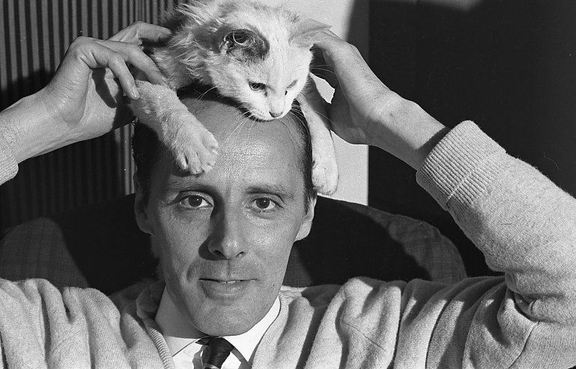 Sistema Solar: Mário Cesariny I Lisboa, 9-VIII-1923 — 26-XI-2006