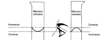 ciencia fisica 1°año