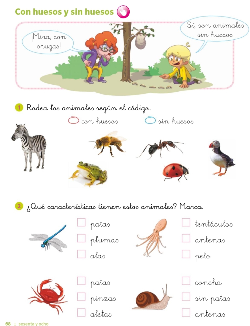 lamochiladenatalia: Ciencias Naturales - Primero de Primaria- del 1 al ...