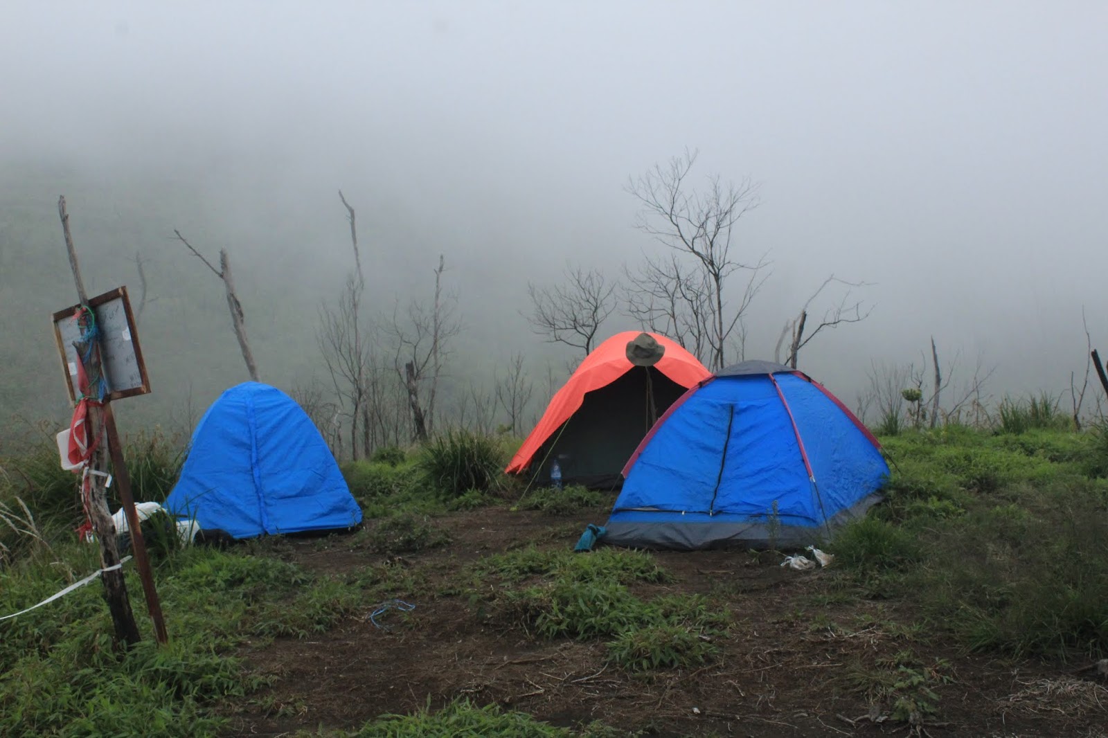 Seven Summit Gunung Merbabu, Base Camp Tekelan - Mount Lover