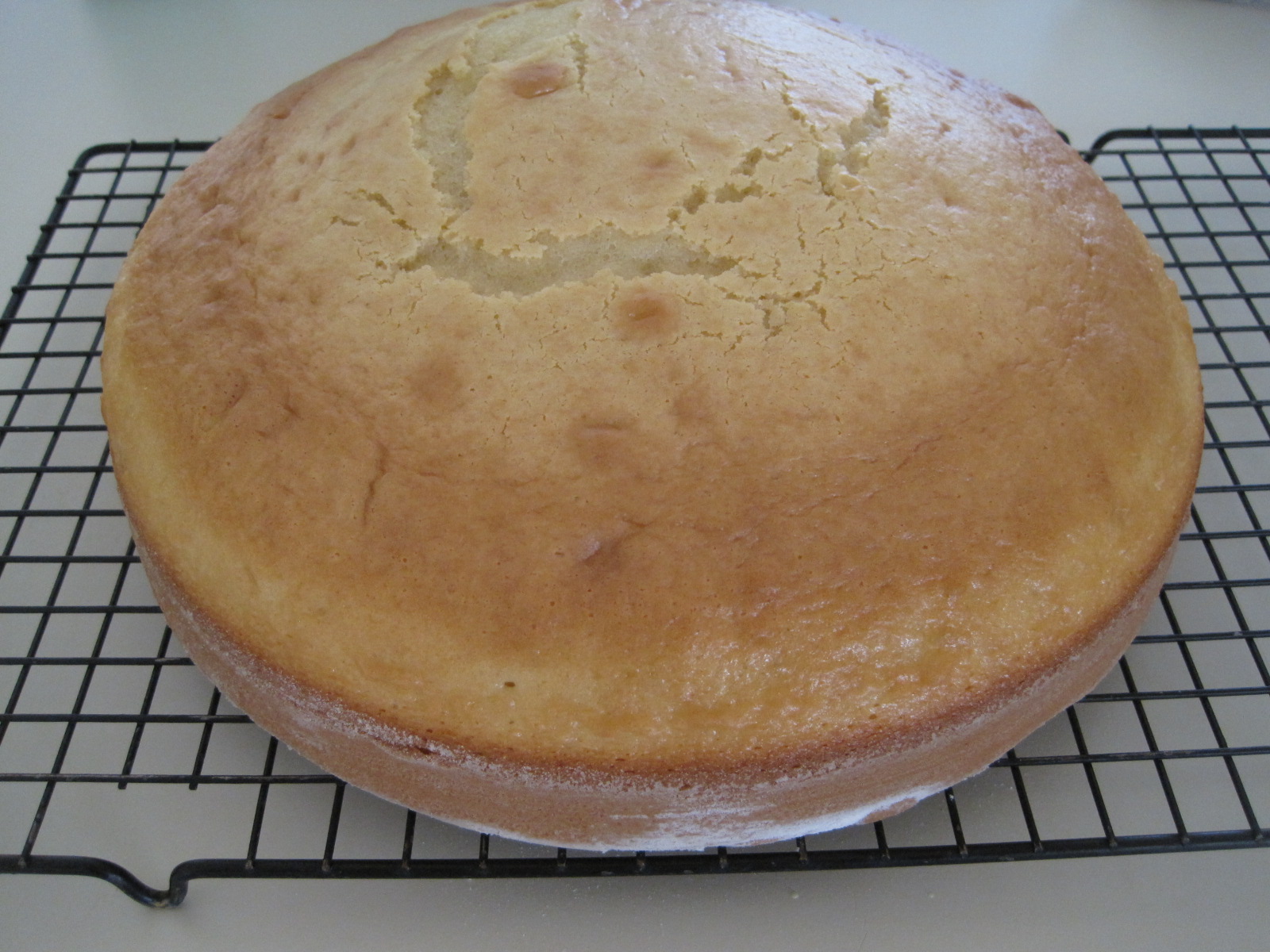 The Creative Cake Maker: Ferret Shaped Cake