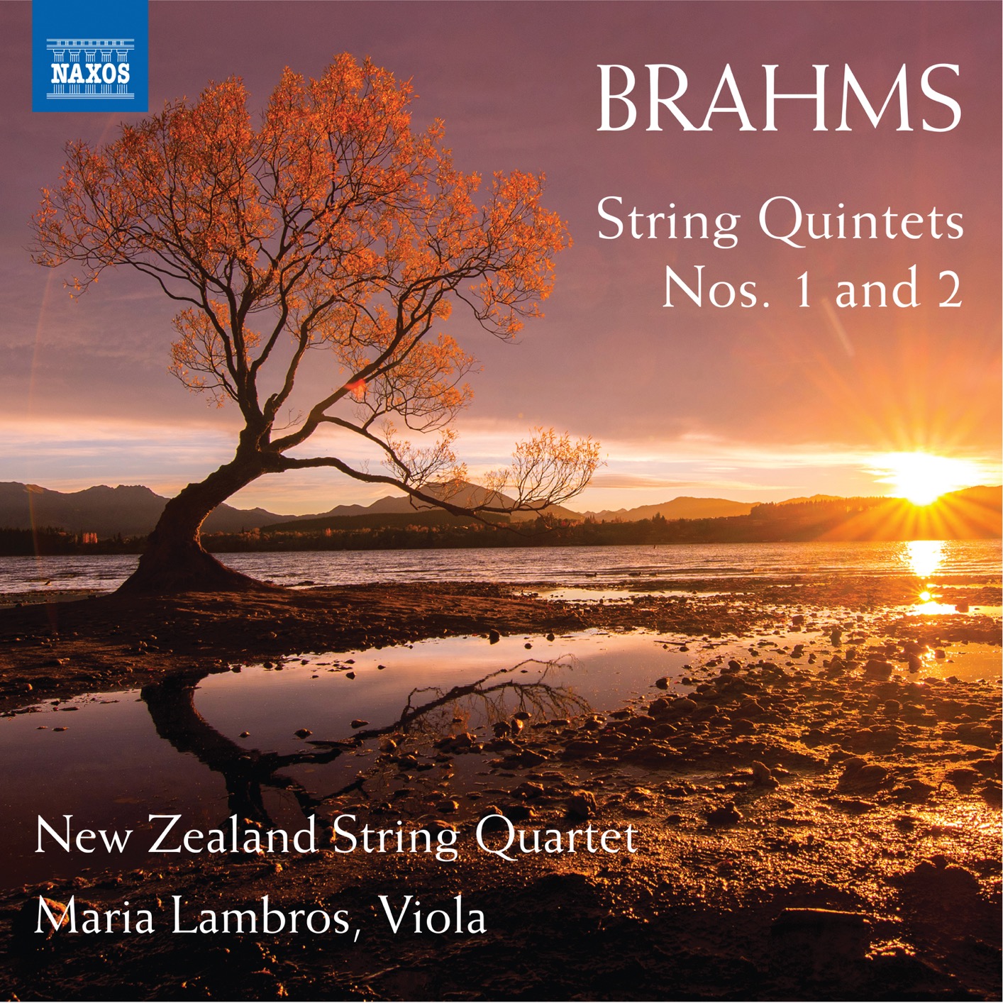 Diabolus In Musica: (24-96) Brahms - String Quintets Nos. 1 & 2 - Maria Lambros, New Zealand ...