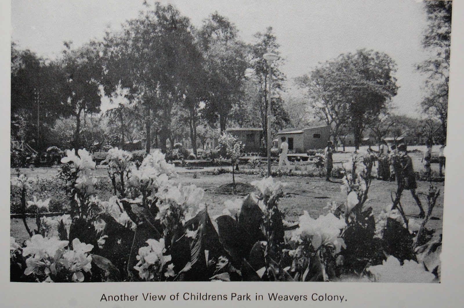 MANA YEMMIGANUR: MACHANI SOMAPPA