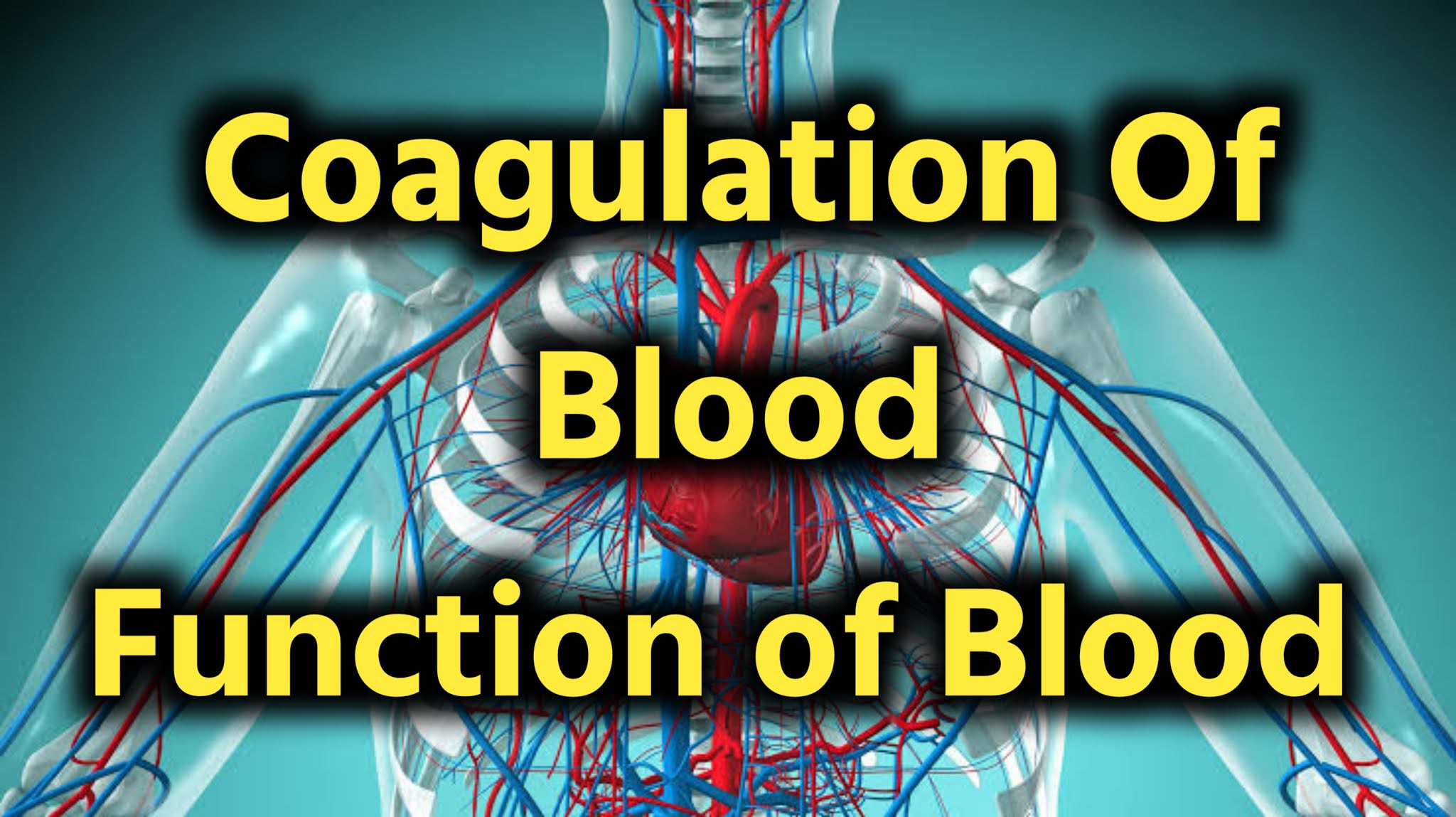 Coagulation Of Blood | Function of Blood