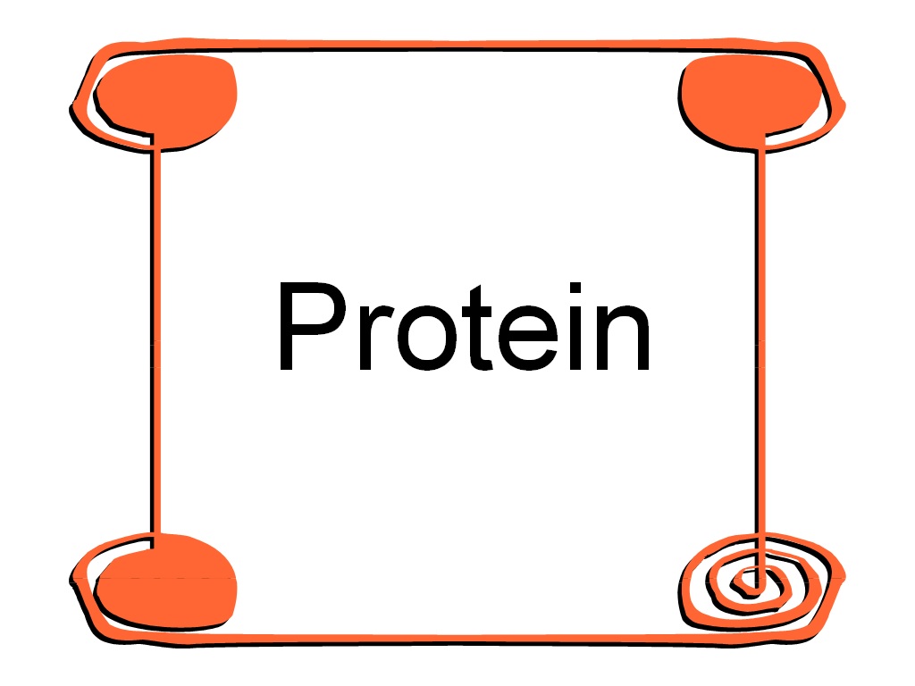 Fit Tips 4 Life: Fun Ways to Teach Kids About Healthy Eating: Protein ...