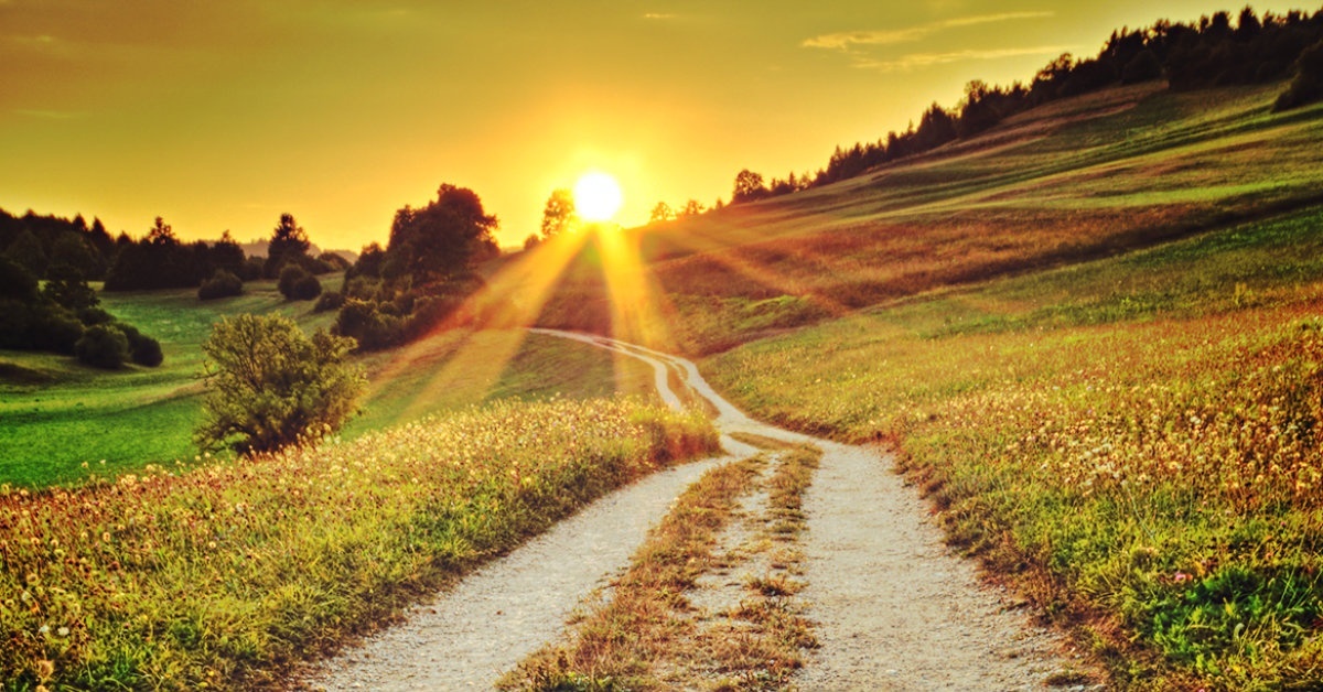 Nita's Thoughts: His Way Is Perfect