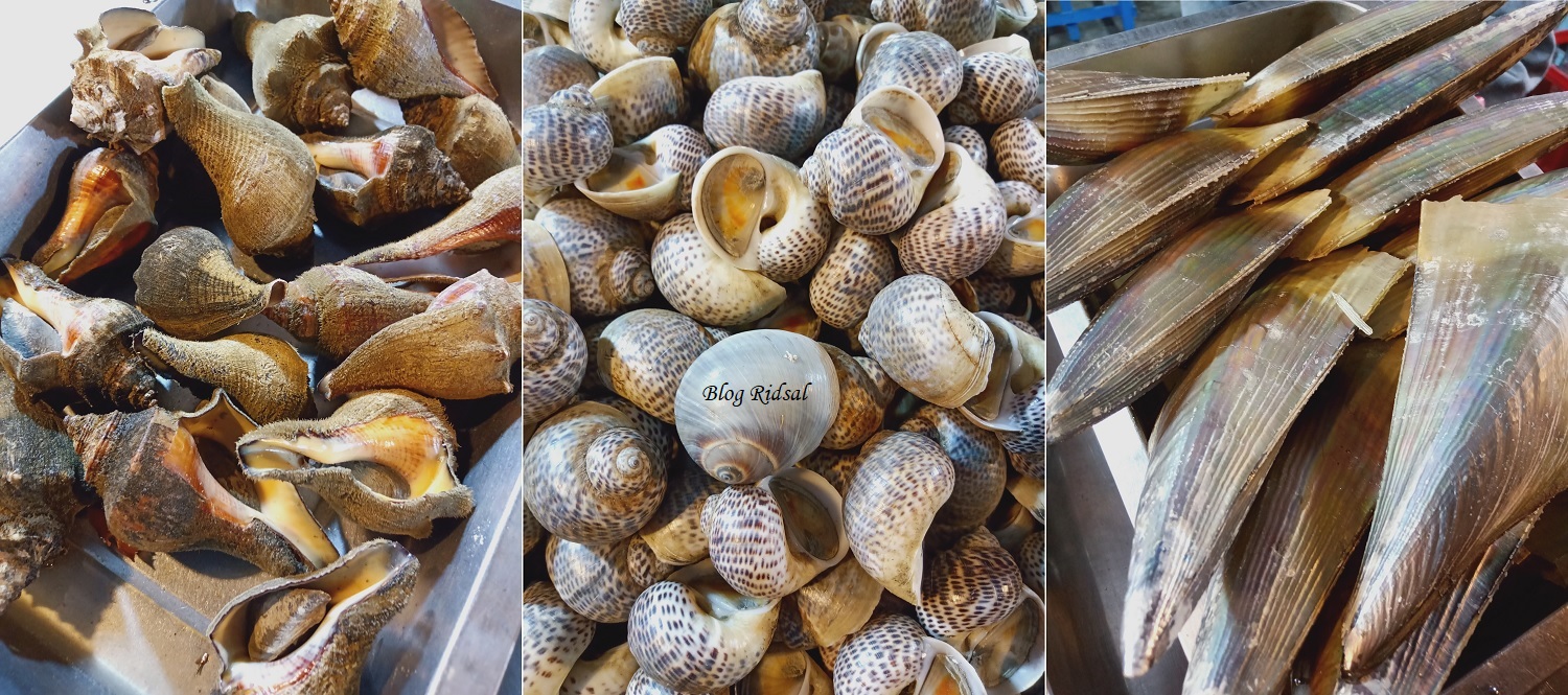 Mencoba Aneka Kerang di Pulau Kerang - Blog Ridsal