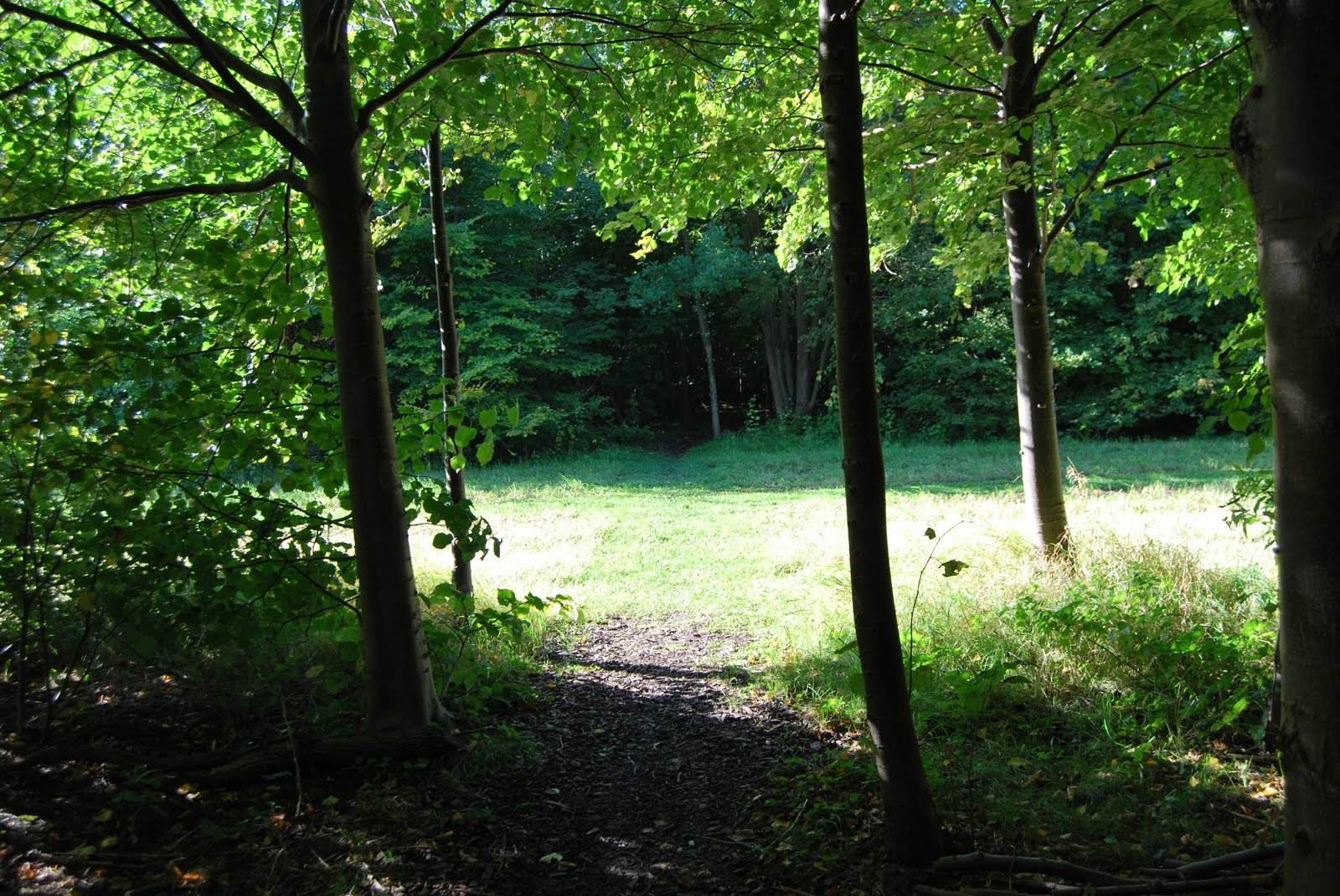 Sitting, Waiting, Wishing!: Alnarp Landscape Laboratory