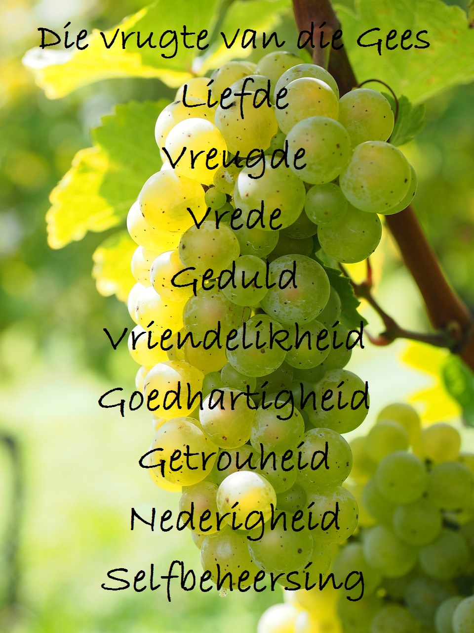 Is jy Geestelik? – Madeleine Venter