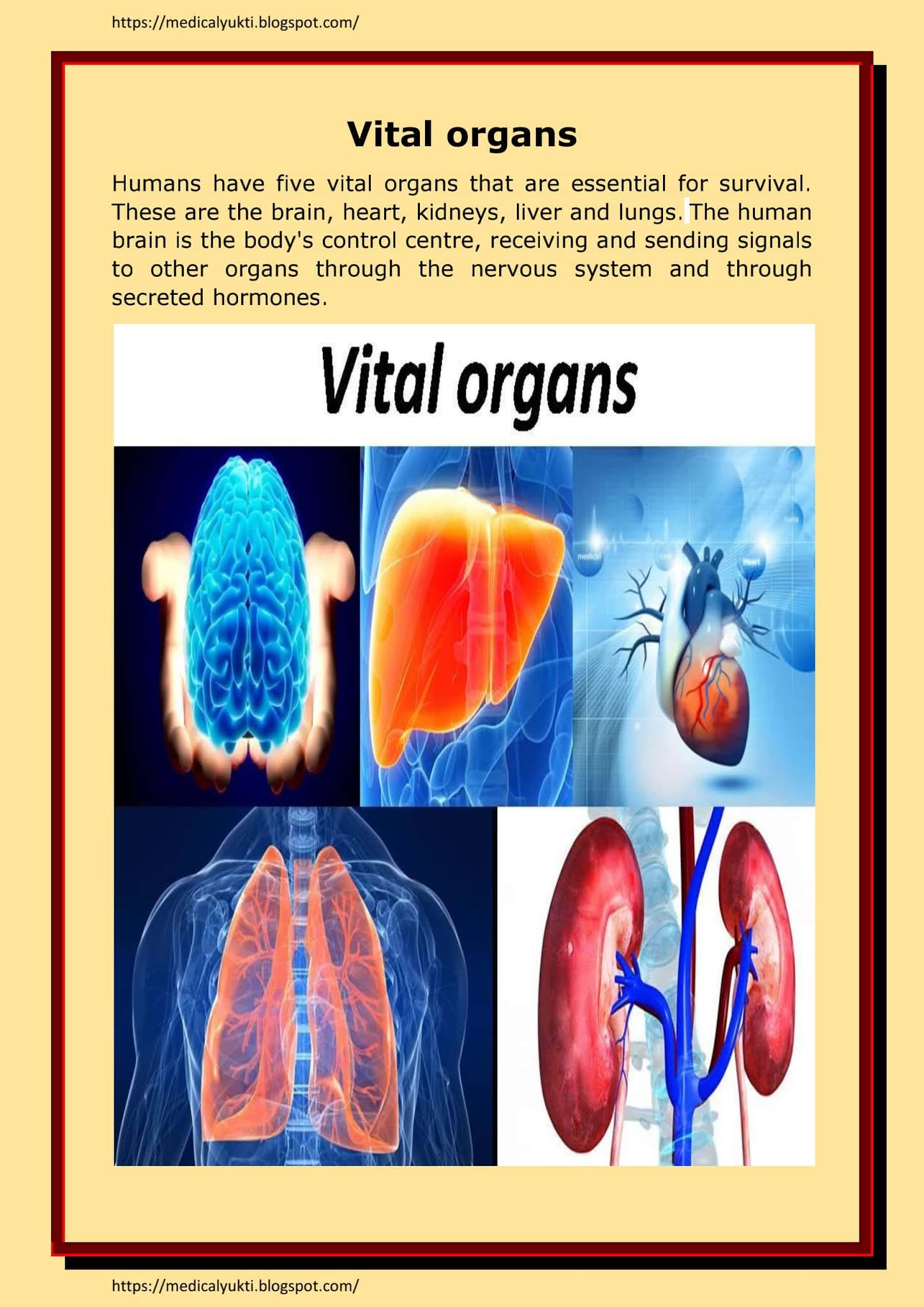 Vital organs - Medical Yukti