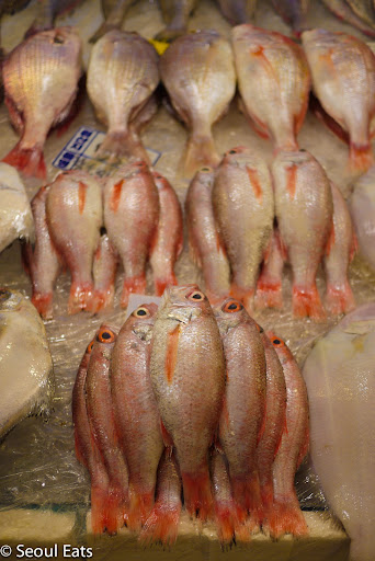 Exploring the Old Noryangjin Fish Market