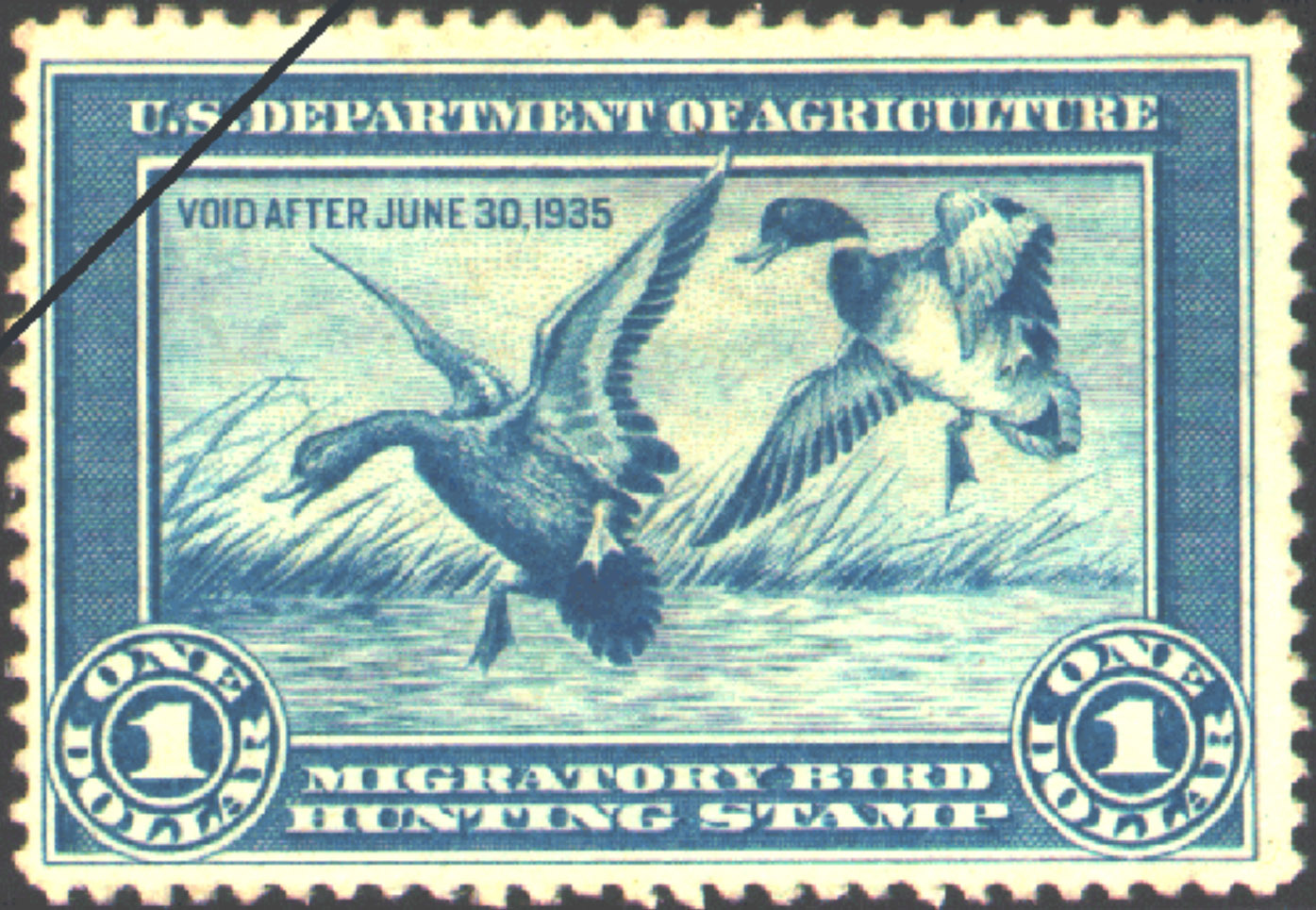 Ink & Snow: "Ding" Darling