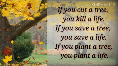 AllaboutLearningByGagzCreations: 10 Slogans on SAVE TREES in English