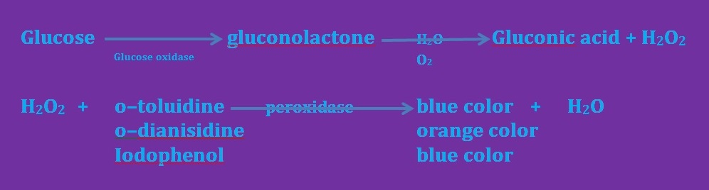 Lecture Notes in Medical Technology: Lecture #7: Carbohydrates