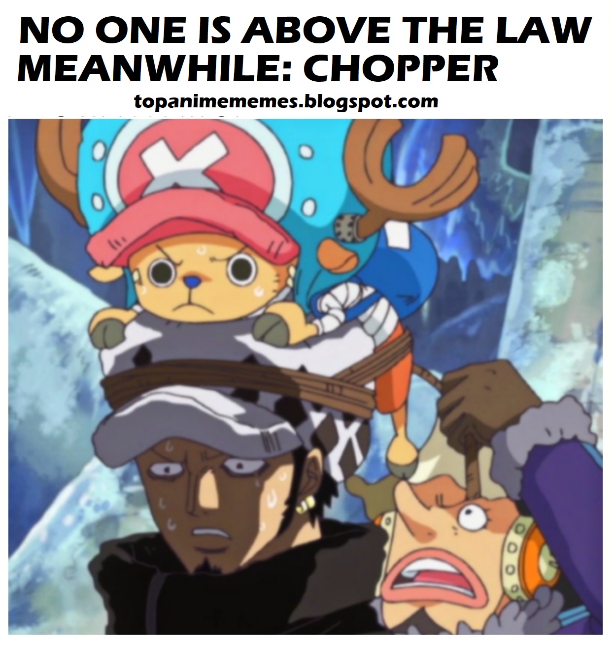 One Piece Memes Only Fans Will Understand Part 16