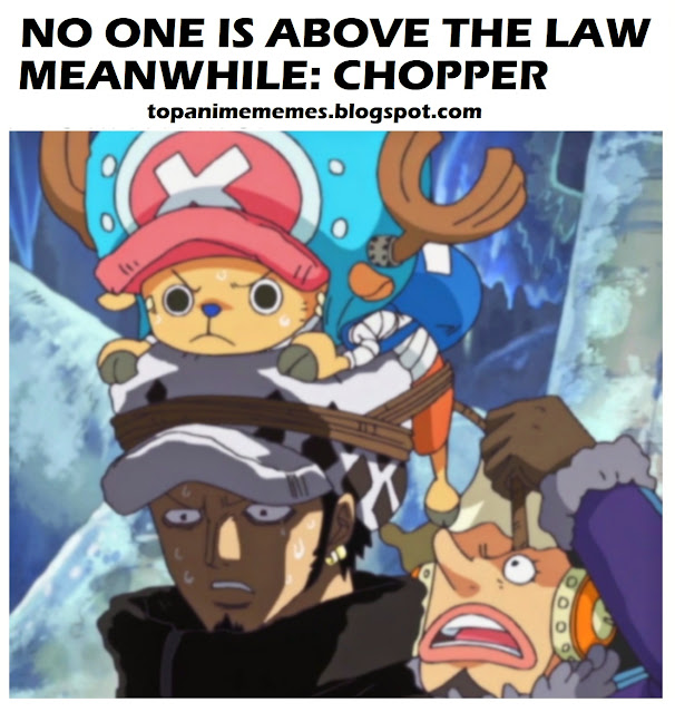 One Piece Memes Only Fans Will Understand Part 16