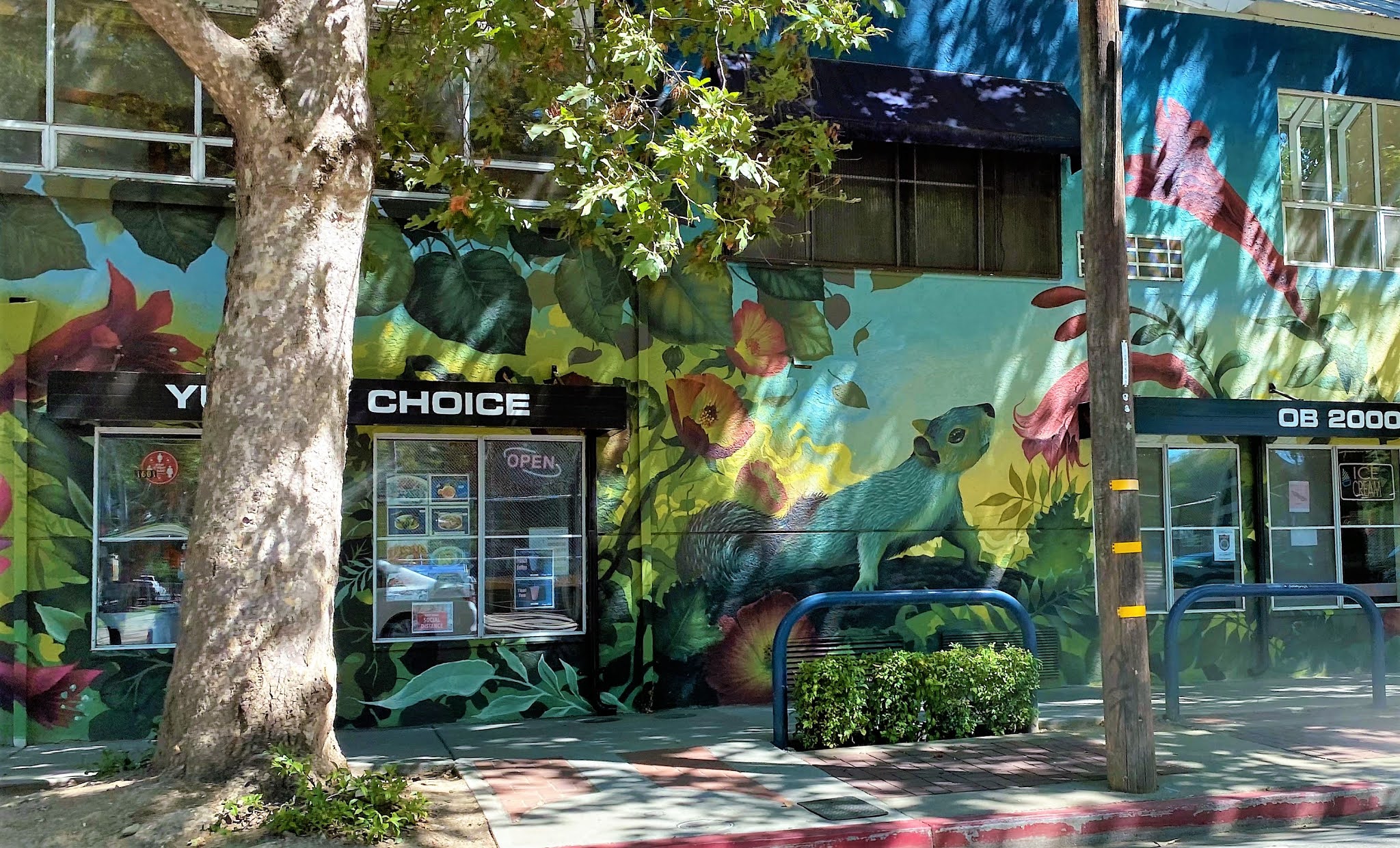 Souvenir Chronicles: CALIFORNIA: TULE ELK RESERVE, THE CALIFORNIA STATE ...