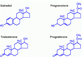 Chemistry Education: Keanekaragaman Struktur Kimia Steroid