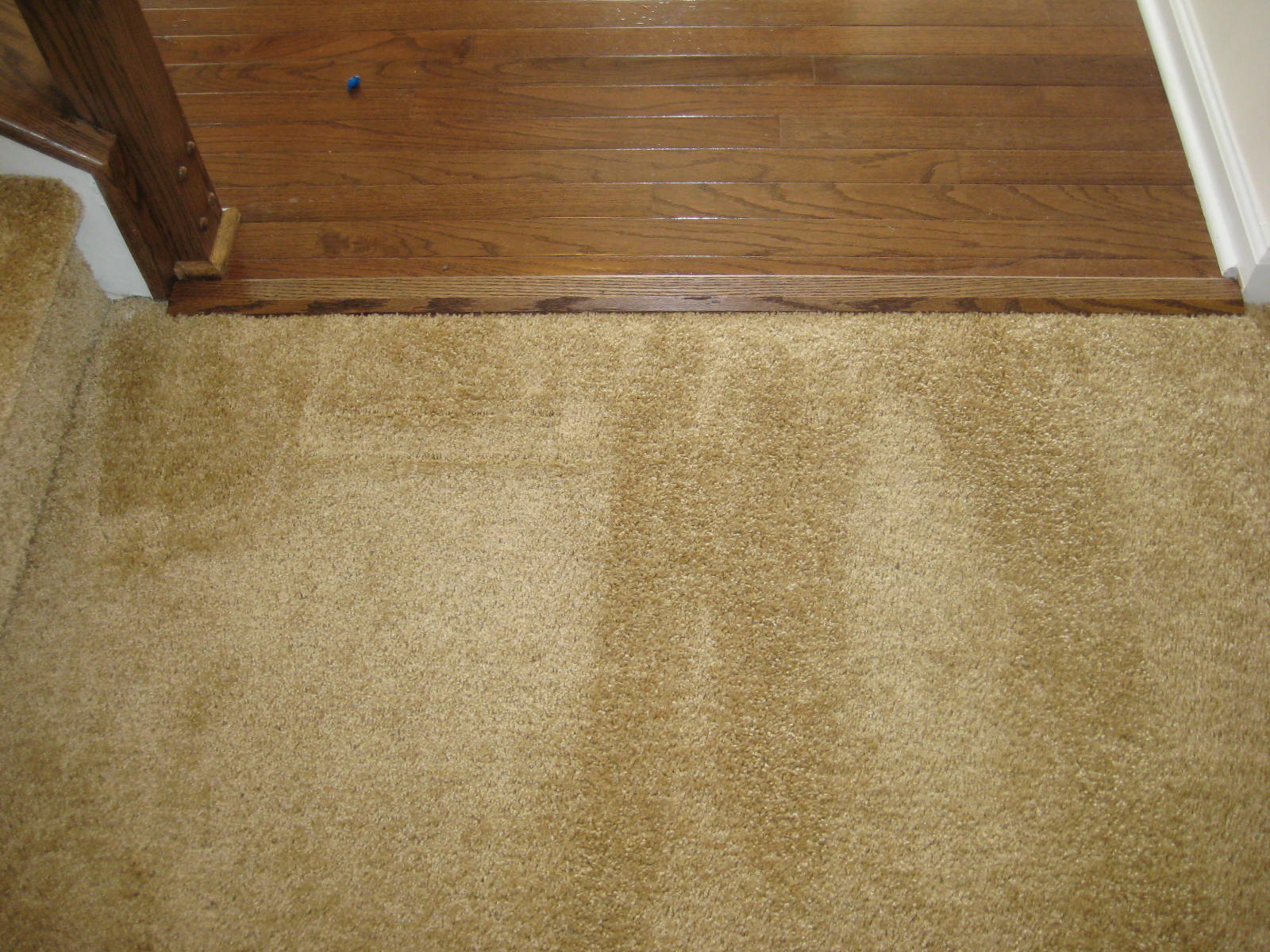 That's right, it's another Verona!: Floor / carpet threshold trim added ...