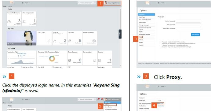 How to Guides: How to Delegate or Assign Proxy to Another User in SAP ...